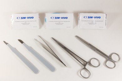 Medical Training Modules and Surgical Simulators - SIM*VIVO